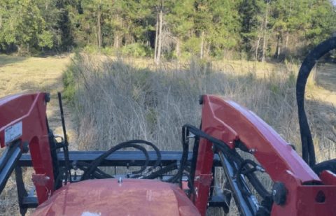 Bush Hog, Land Clearing and Brush Hogging in Florida